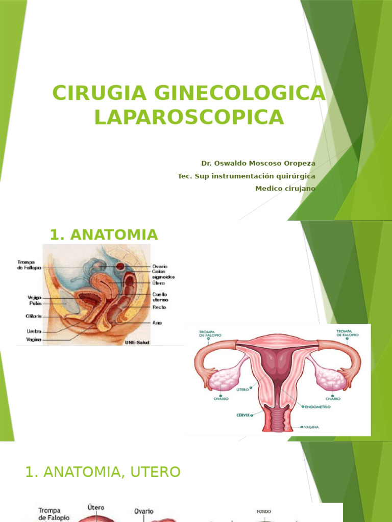 Intro Gineco. | PDF | Ovario | Especialidades Medicas