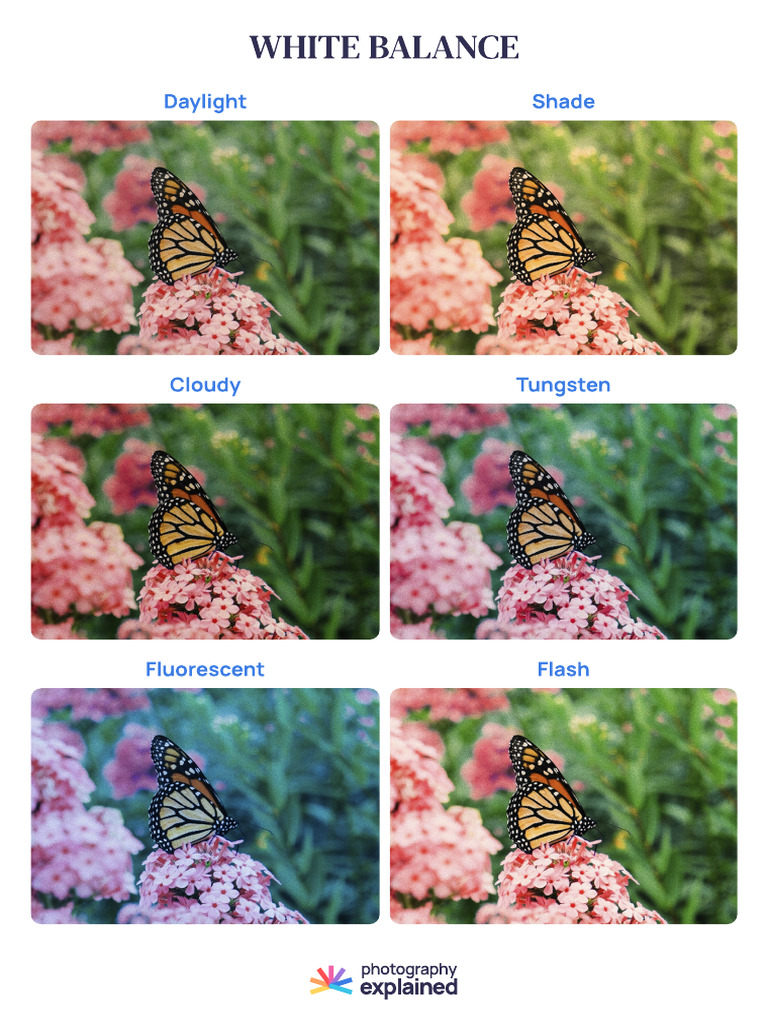 Whitebalance Cheat Sheet | PDF