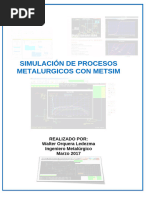 Bruno Metso | PDF | Simulación | Software