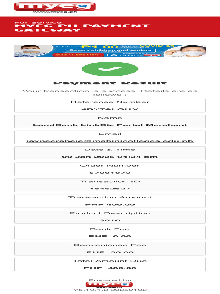 MyEG PH Payment Transaction Details | PDF