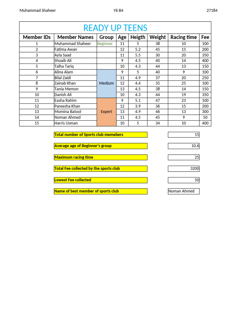Muhammad Shaheer Y6 B4 27184 - Excel Homework | PDF