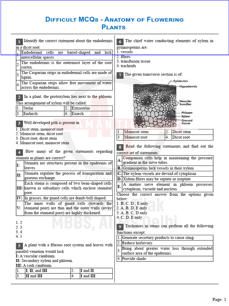 Difficult MCQs - Anatomy of Flowering Plants | PDF | Plant Stem | Stoma
