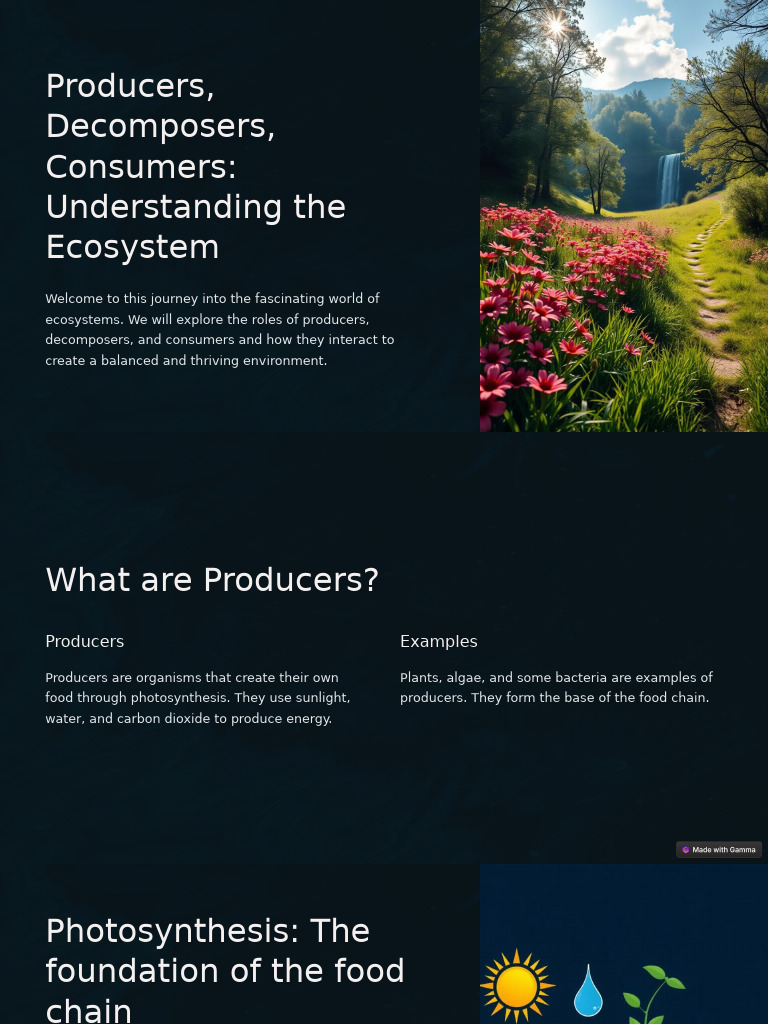 Ecosystem Roles: Producers, Consumers, Decomposers | PDF | Ecosystem ...