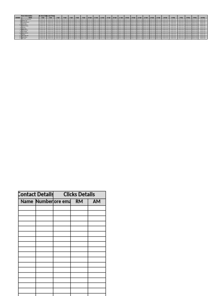 03 in Store Promoters Template | PDF