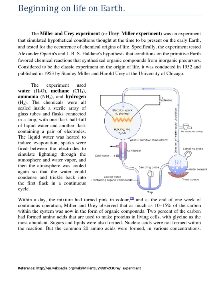 Miller-Urey Experiment Overview | PDF