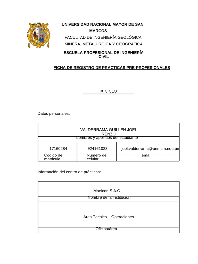 Informe Practicas Preprofesionales II | PDF | Ingeniería
