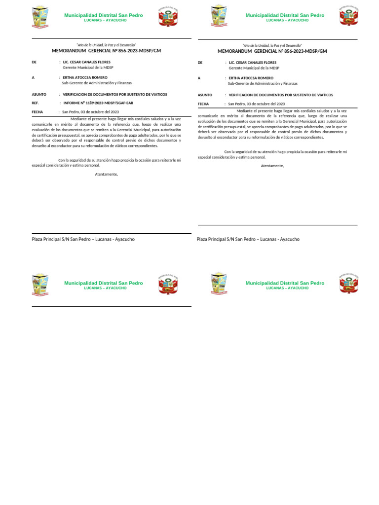 Modelo Memo Gerencia | PDF