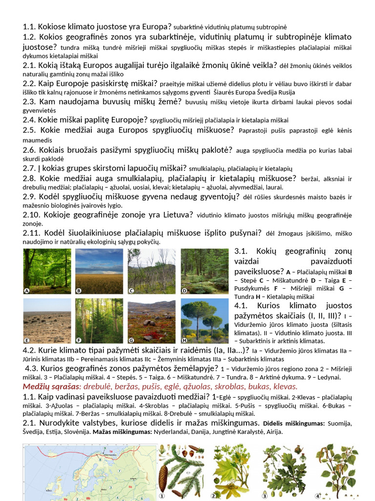 07 Europos Augalija | PDF