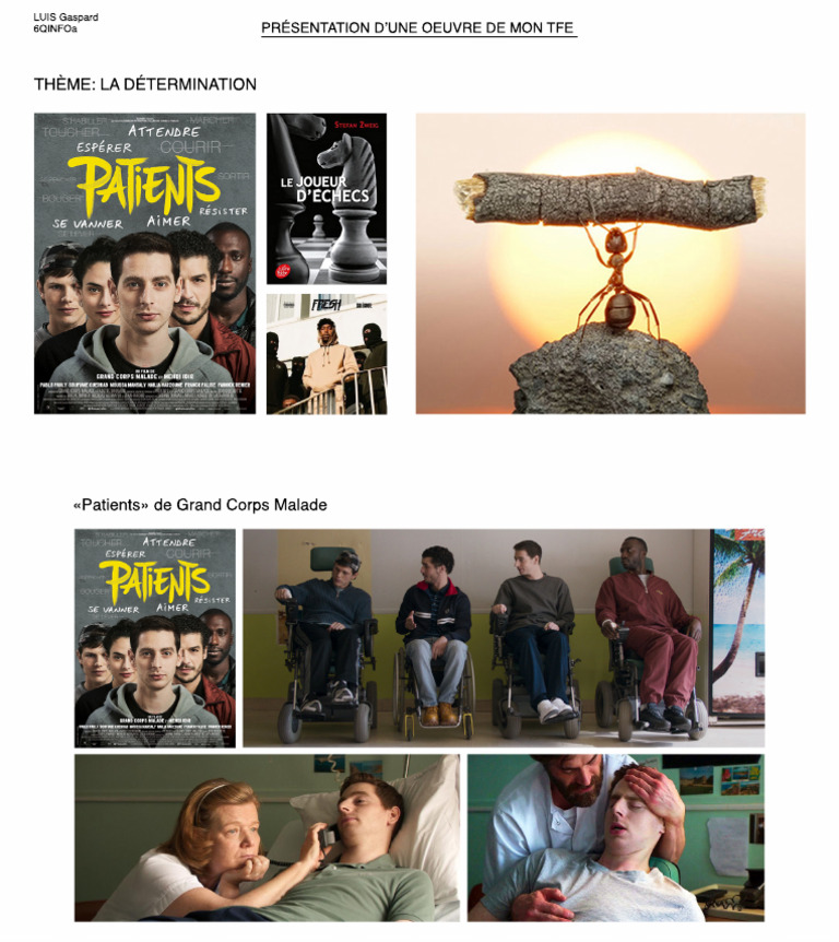 LUIGA Presentaton TFE | PDF