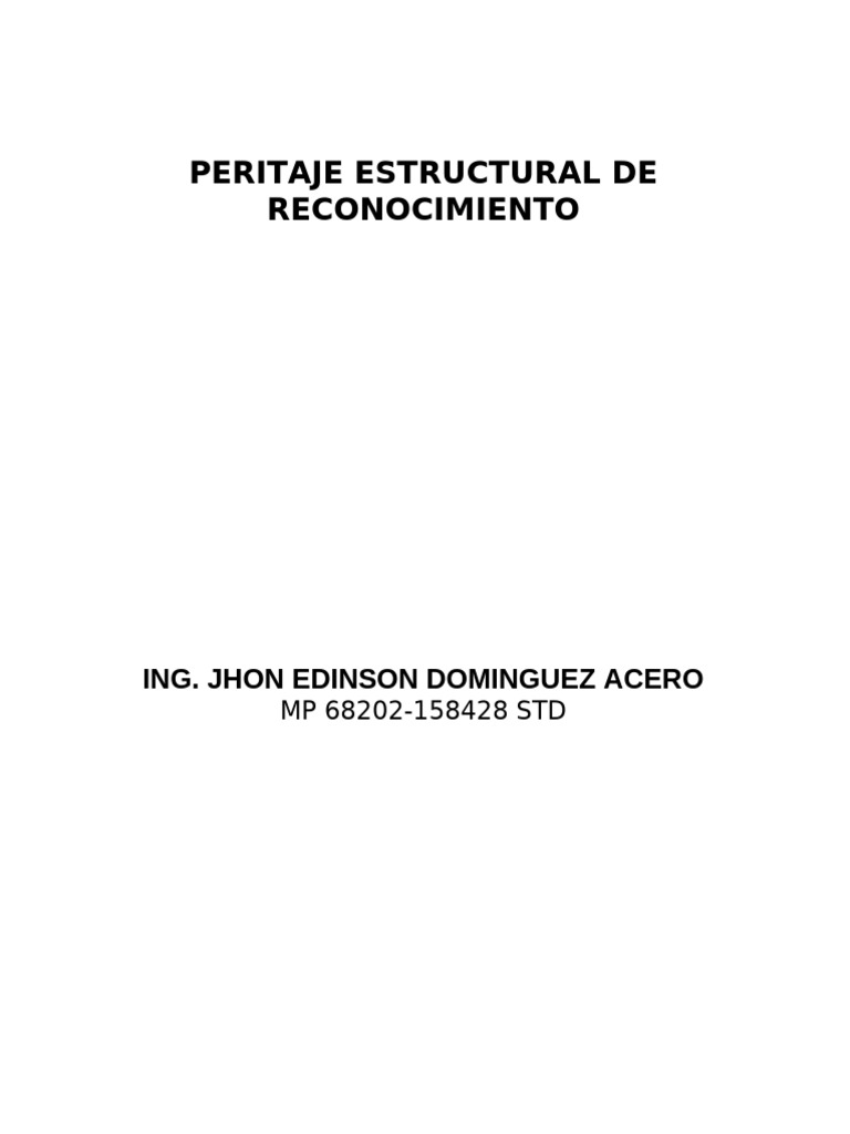 Peritaje Los Andes | PDF | Acero | Ingeniería estructural