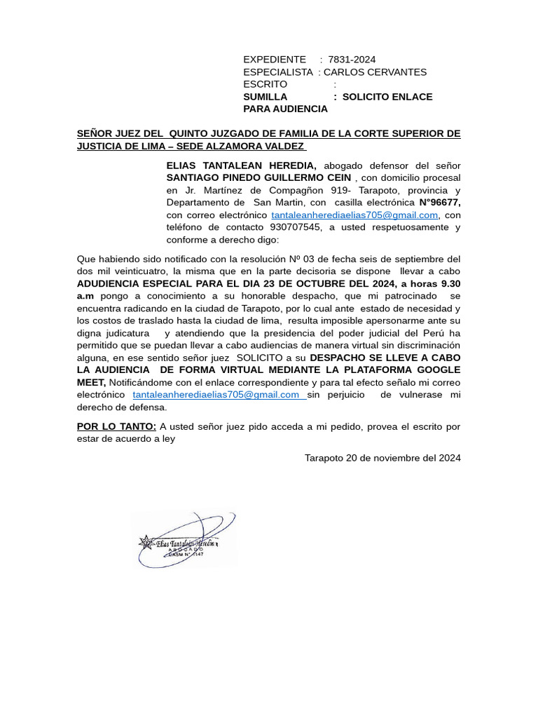 Solivito Audiencia V Irtual Guillermo Cein | PDF