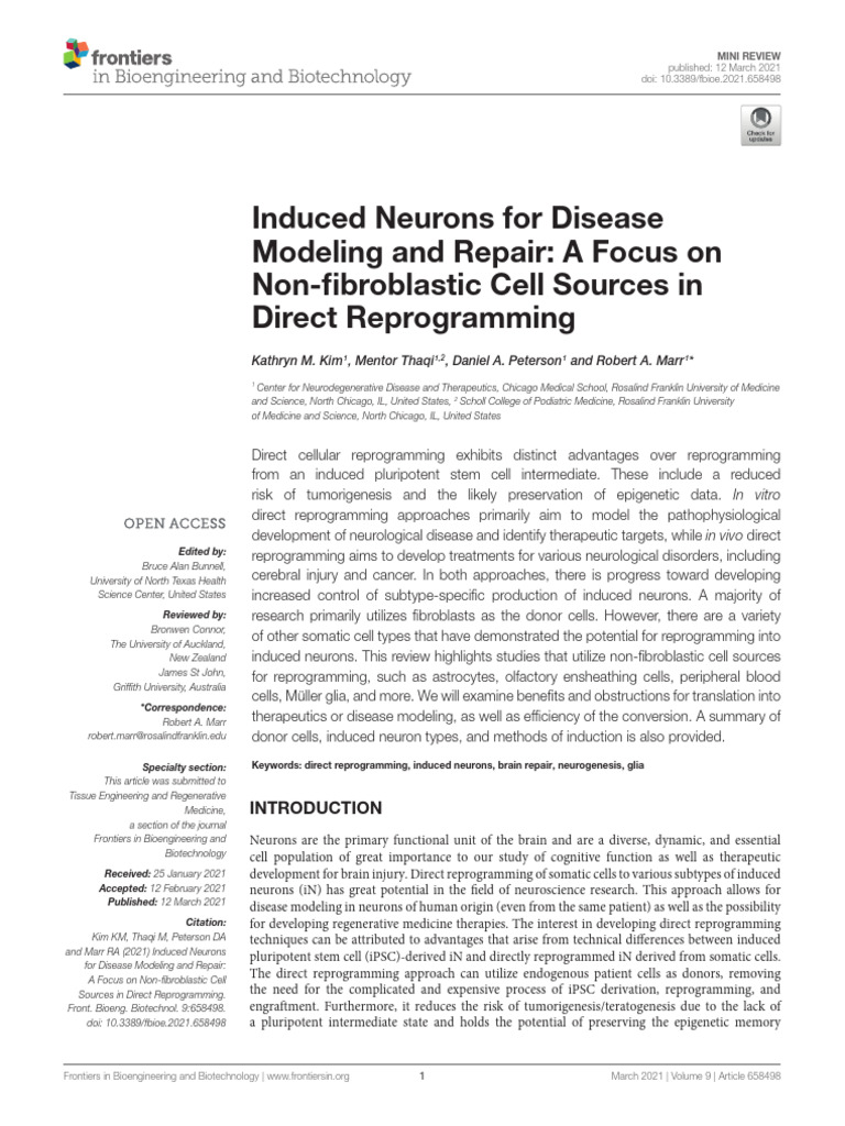 Robert A Marr 2021 Non-Fibroblast DC Review | PDF | Astrocyte | Cell ...