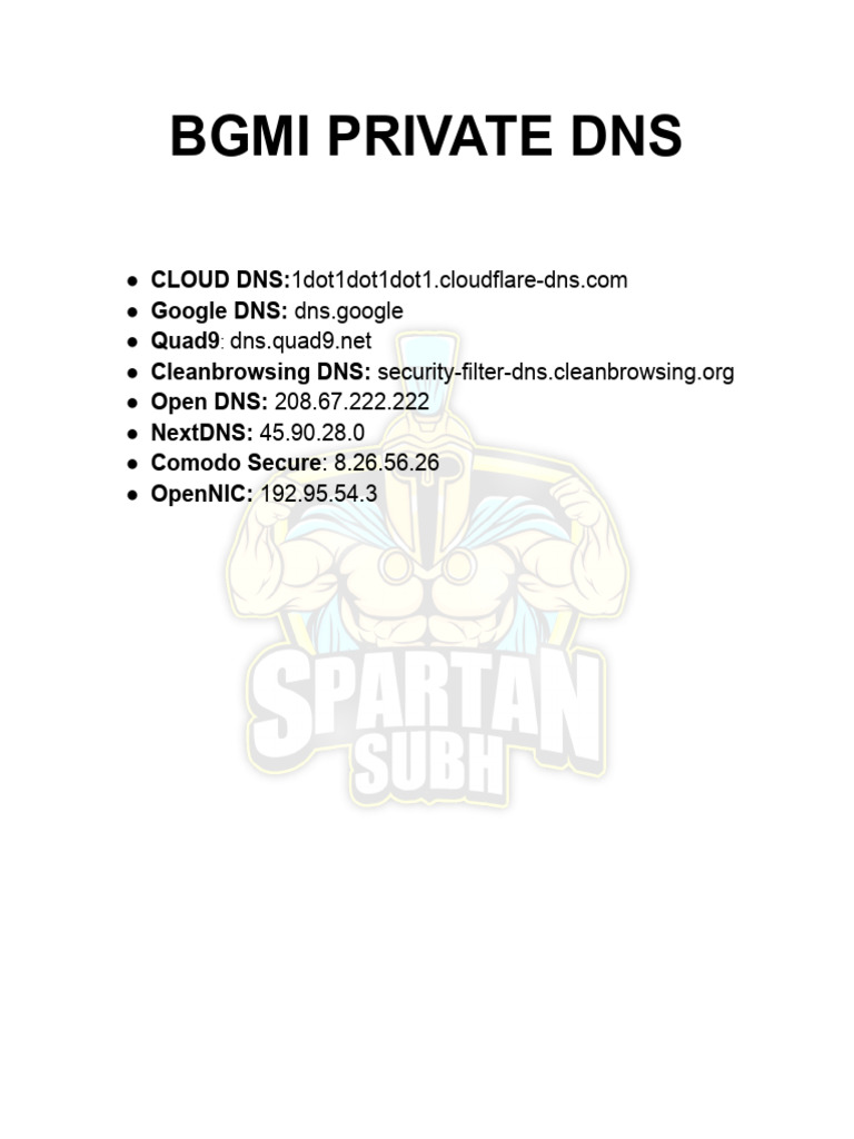 Bgmi Private DNS | PDF