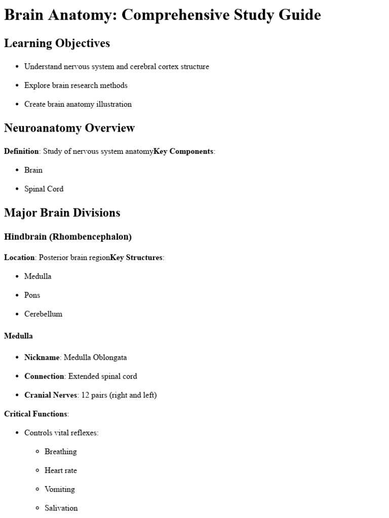 Brain Anatomy Study Guide Overview | PDF | Brain | Human Brain