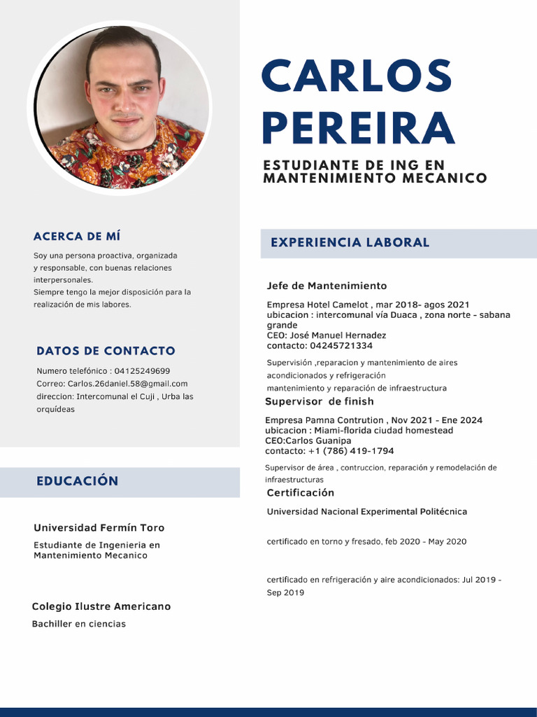Curriculum Carlos Pereira | PDF