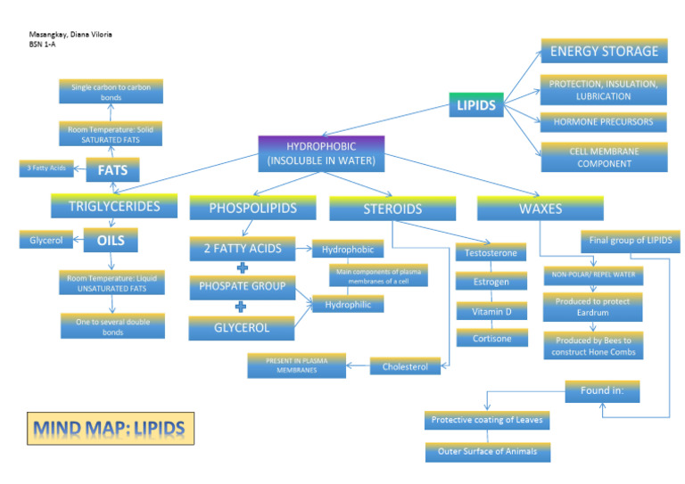 Biochemistry Mind Map Overview | PDF
