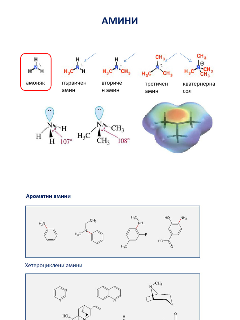 amines (1) | PDF