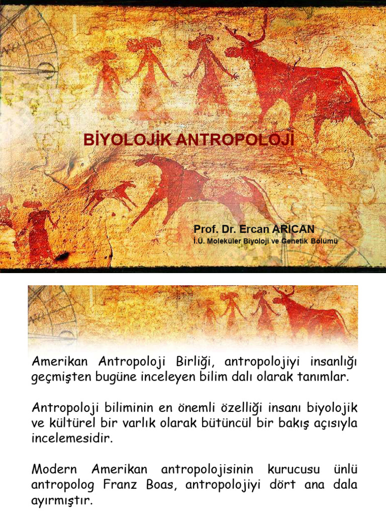 Biyolojik Antropoloji: Prof. Dr. Ercan ARICAN | PDF