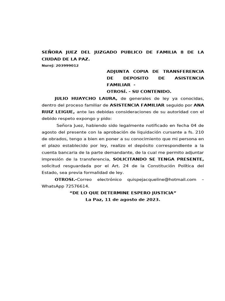 Adjunta Comprobante Julio 23 | PDF