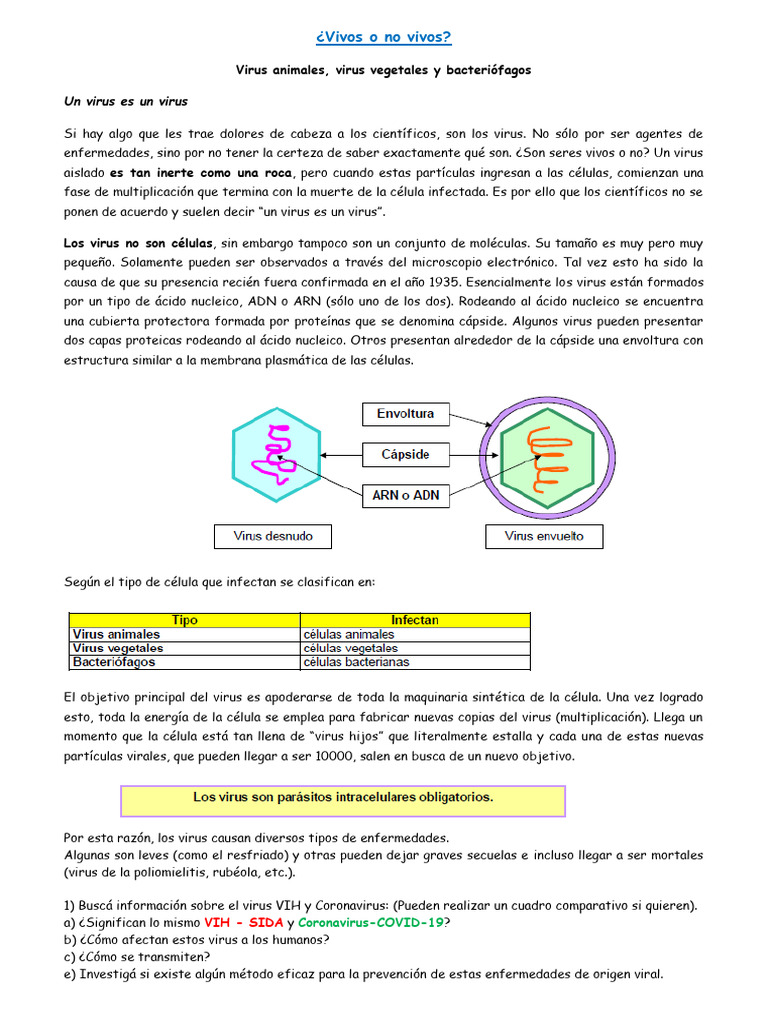 Virus: Vivos, Enfermedades y Prevención | PDF