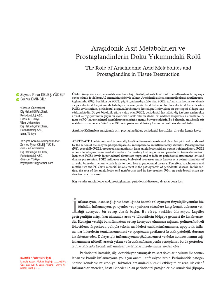Araşidonik Asit Metabolitleri Ve Prostaglandinlerin Doku Yıkımındaki Rolü | PDF