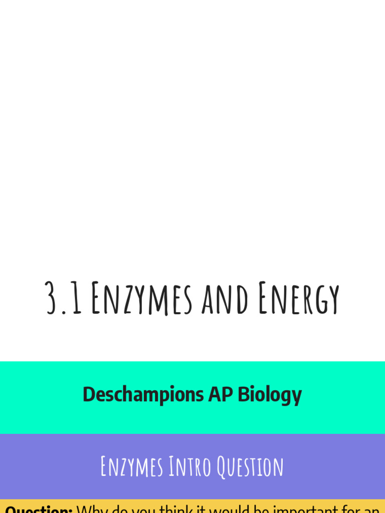 Unit 3 Enzymes and Energy AP Bio | PDF | Cellular Respiration | Enzyme