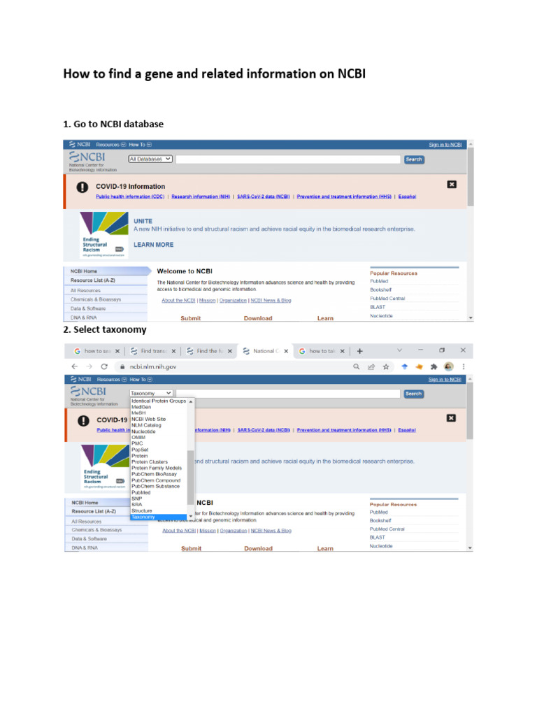 Practical 1. How To Find Gene and Related Information On NCBI | PDF