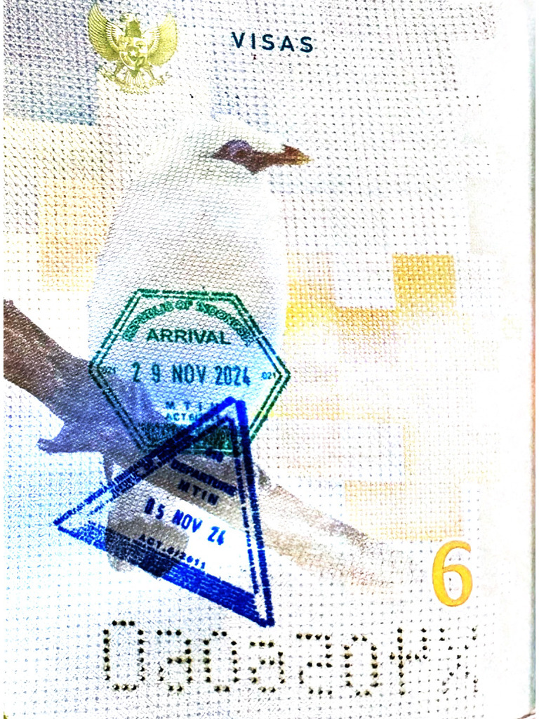 Passport Visas | PDF