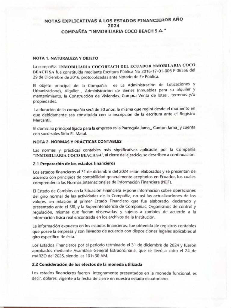 Notas Explicativas A Los Estados Financieros Año | PDF