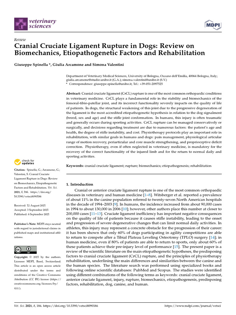 Cranial Cruciate Ligament Rupture in Dogs: Review on Biomechanics ...