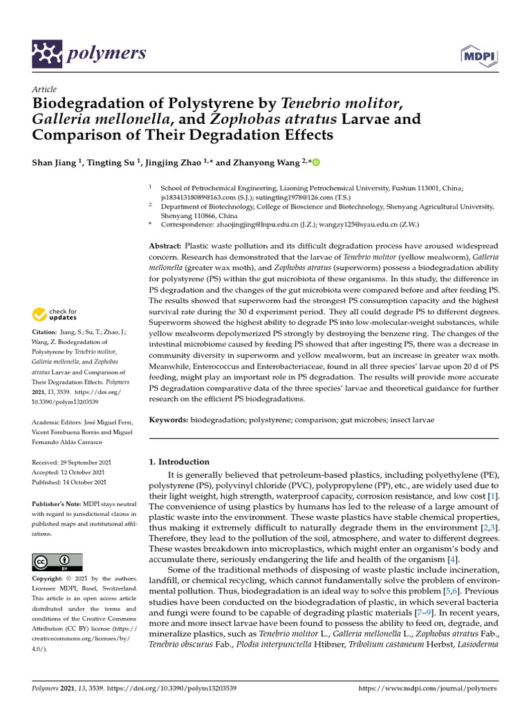Biodegradation of Polystyrene by Tenebrio Molitor | PDF | Plastic | Biodegradation