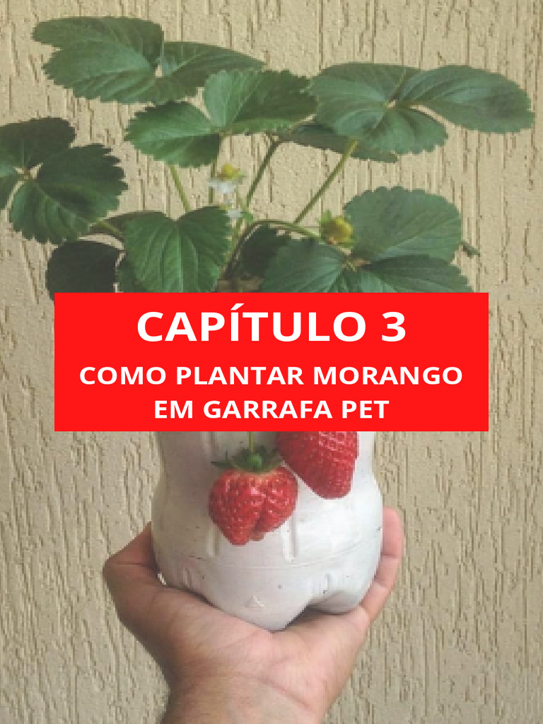 Ebook Gratis - Morango em Garrafa Pet | PDF
