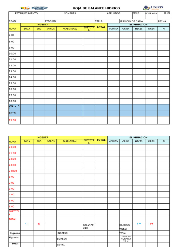 Hoja de Balance Hídrico 24 Horas | PDF