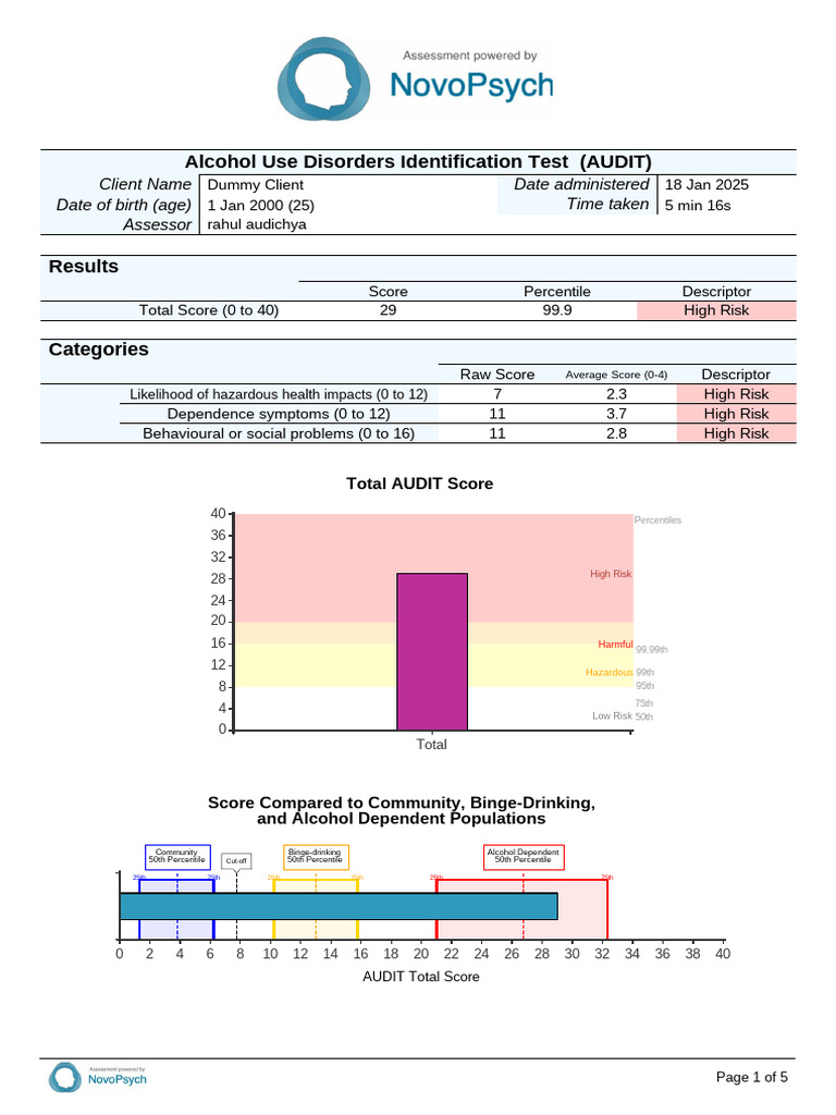 Dummy Client AUDIT 2025-01-19 | PDF | Alcoholism | Substance Dependence