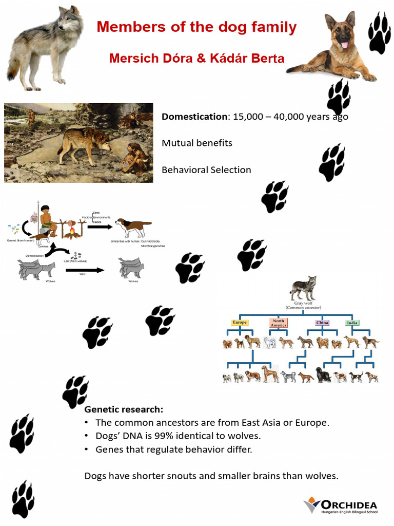 Members of The Dog Family | PDF