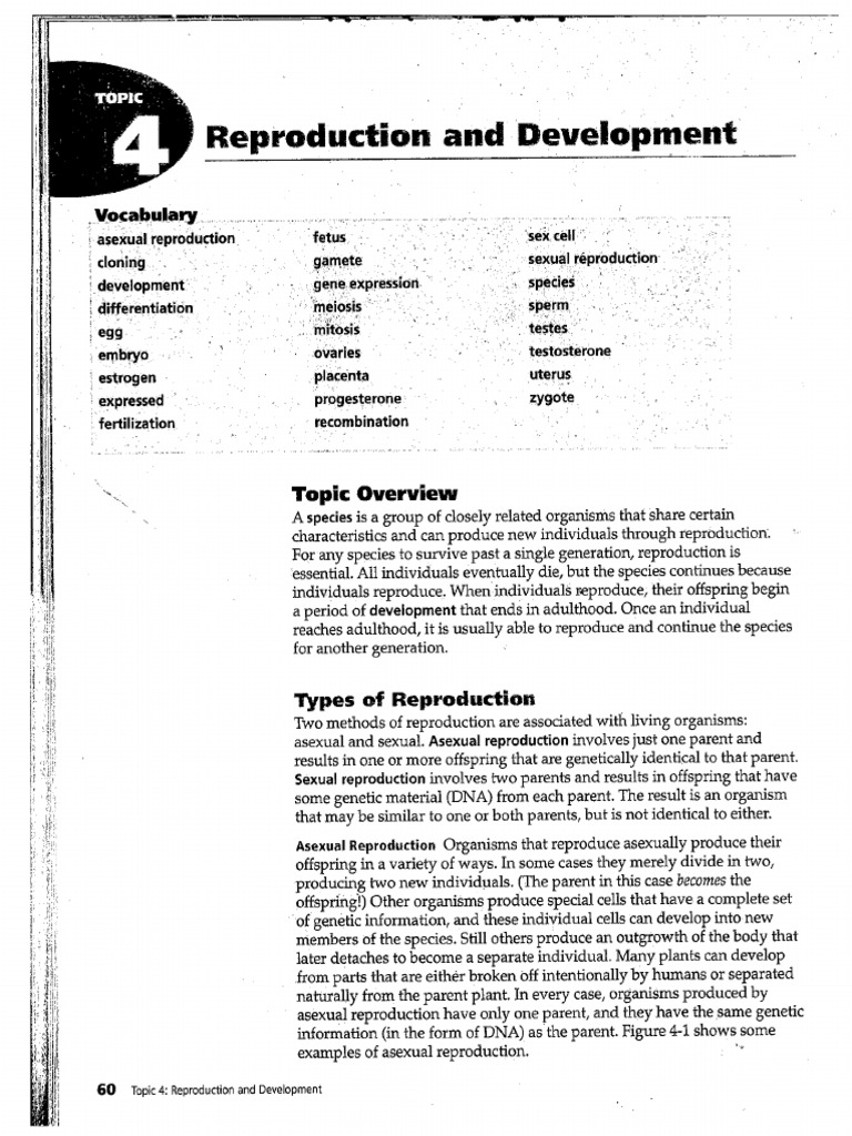 Topic 4 Review Packet | PDF
