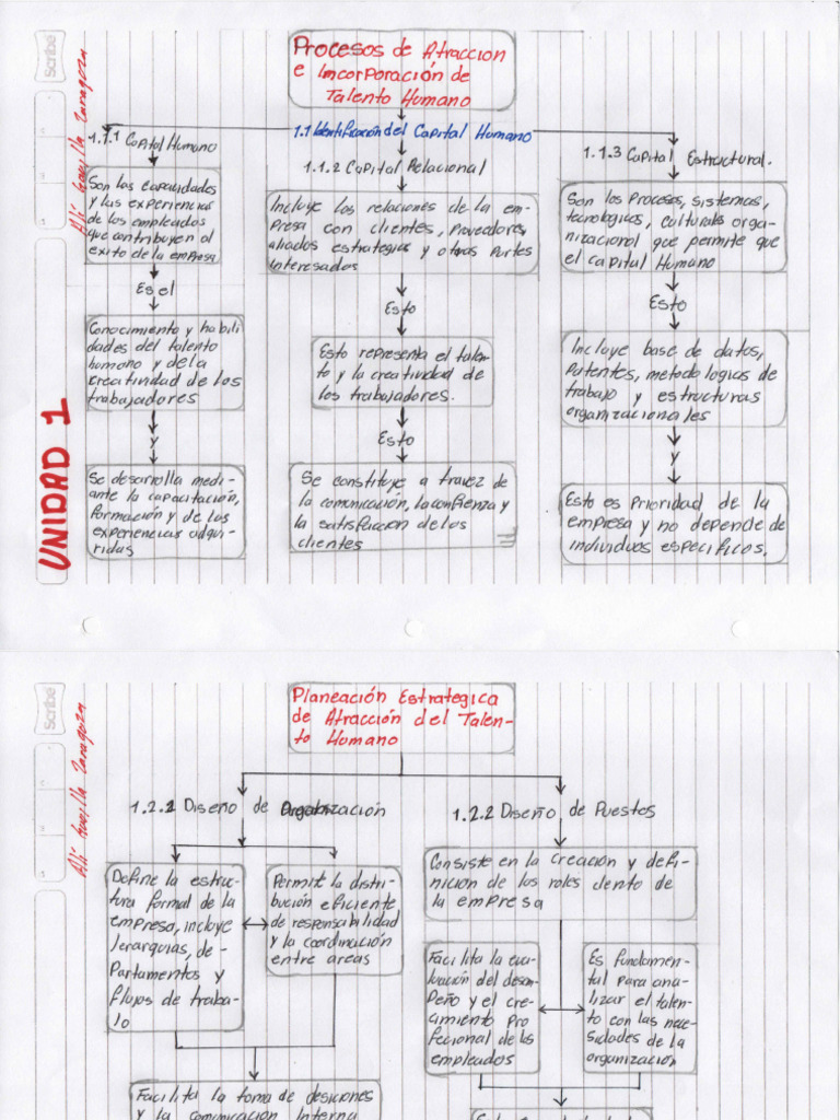 Mapa Conceptual Capitulo 1 | PDF