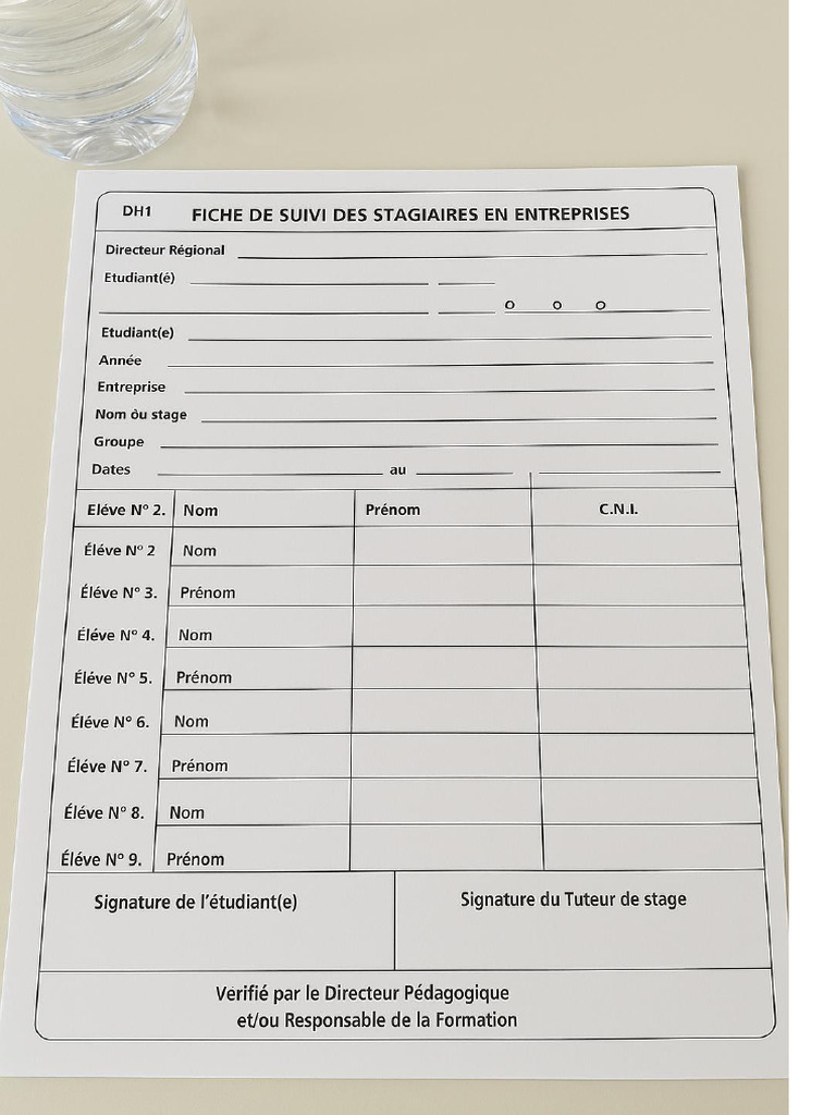 Fiche Suivi Stagiaires Vierge | PDF