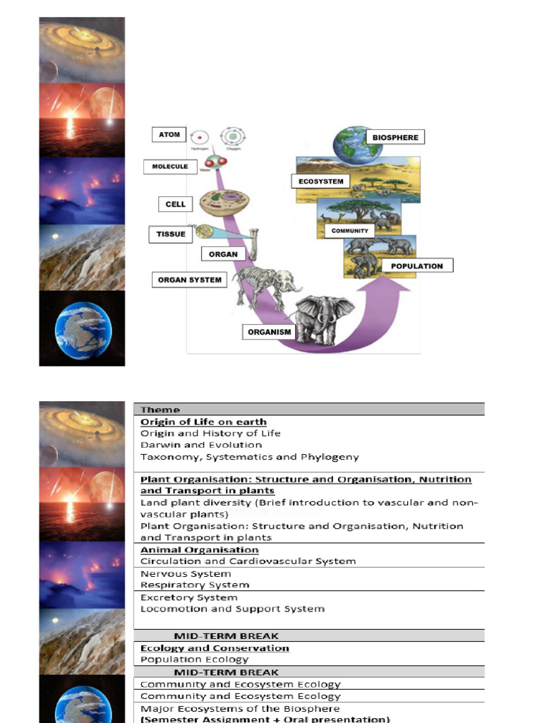 Origin and History of Life | PDF | Abiogenesis | Cell (Biology)