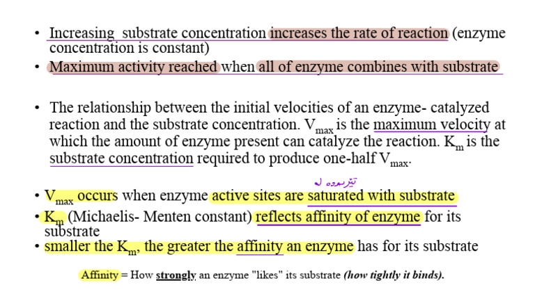 Max M Max: Affinity How An Enzyme "Likes" Its Substrate | PDF
