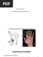 Membrum Superius (Forearm - Hand) | PDF | Thumb | Limbs (Anatomy)
