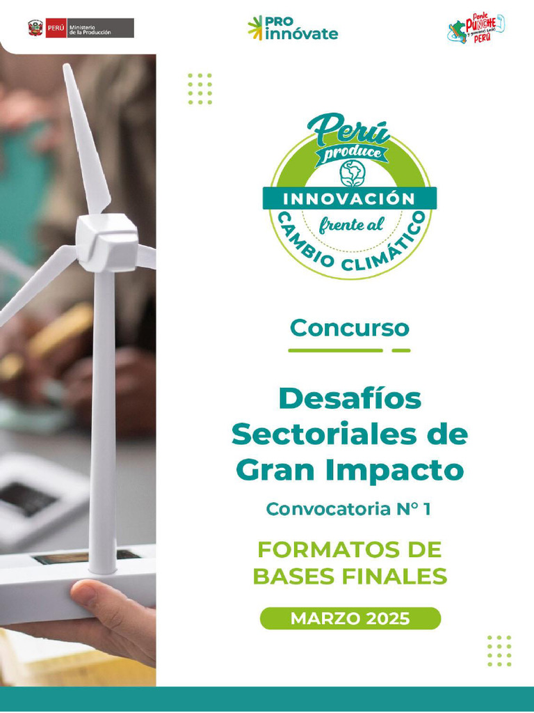 Formatos Bases Finales Desafios Gran Impacto CC | PDF