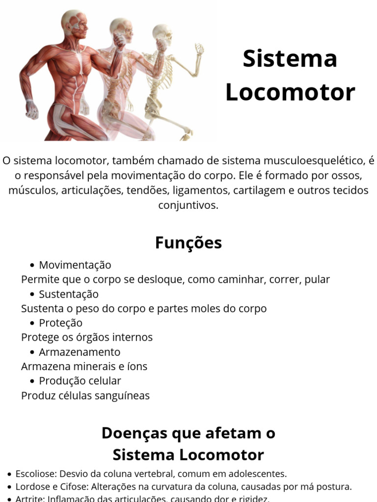 Conscientização Sobre O Sistema Locomotor Pdf