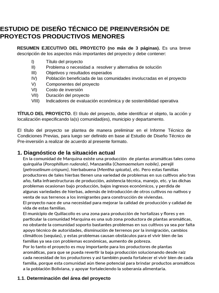 Guia de Formatos de Proyectos Final01 | PDF | Evaluación de impacto ambiental | Presupuesto