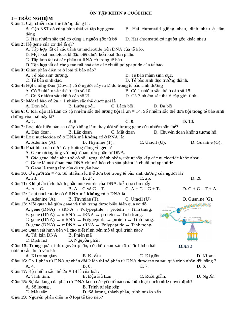 Đề cương KHTN 9 Cuối HKII | PDF