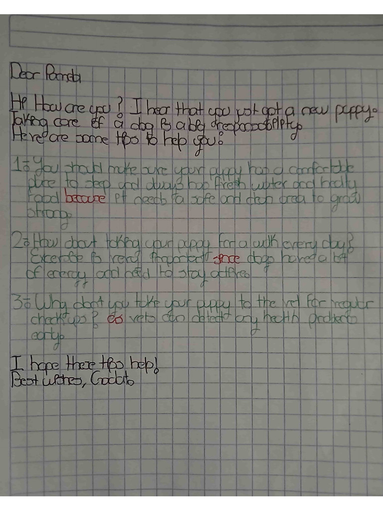 Writing Exercise 4 | PDF