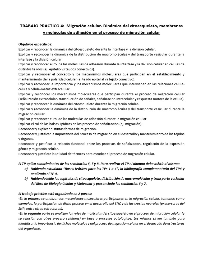 Tp 4 Consignas | PDF | Sistema nervioso | Citoesqueleto
