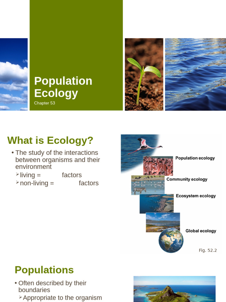 12population Ecology d2l | PDF | Natural Environment | Ecology