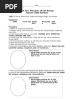 Human Cheek Cell Observation Lab | PDF | Cell (Biology) | Eukaryotes