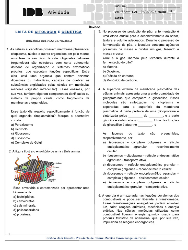 Lista de Citologia e Genética_250225_150507 | PDF | Célula (Biologia) | Alelo